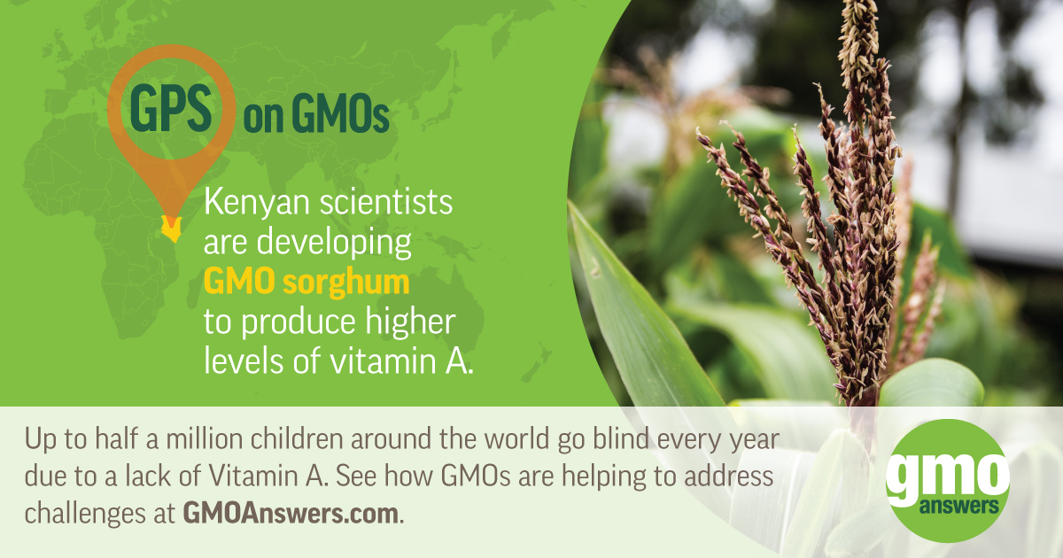 Modern Agriculture | GMO Answers